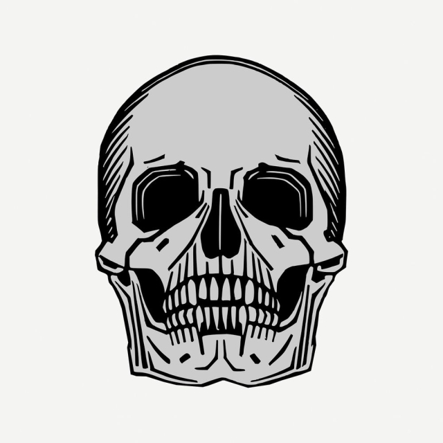 Free: Human skull drawing, Halloween illustration | Free PSD - rawpixel ...