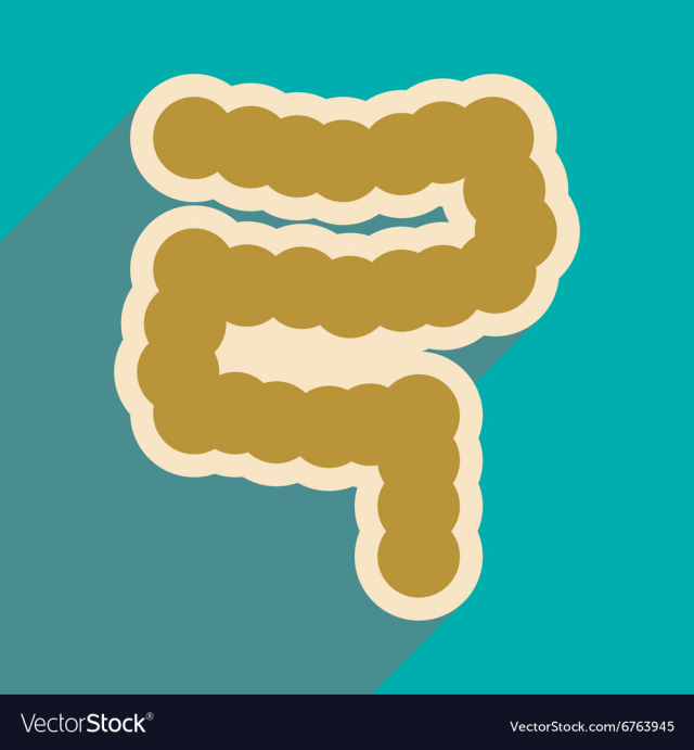Free: Icon of human duodenum in flat style vector image - nohat.cc