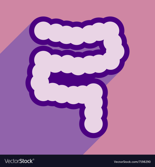 Free: Icon of human duodenum in flat style vector image - nohat.cc