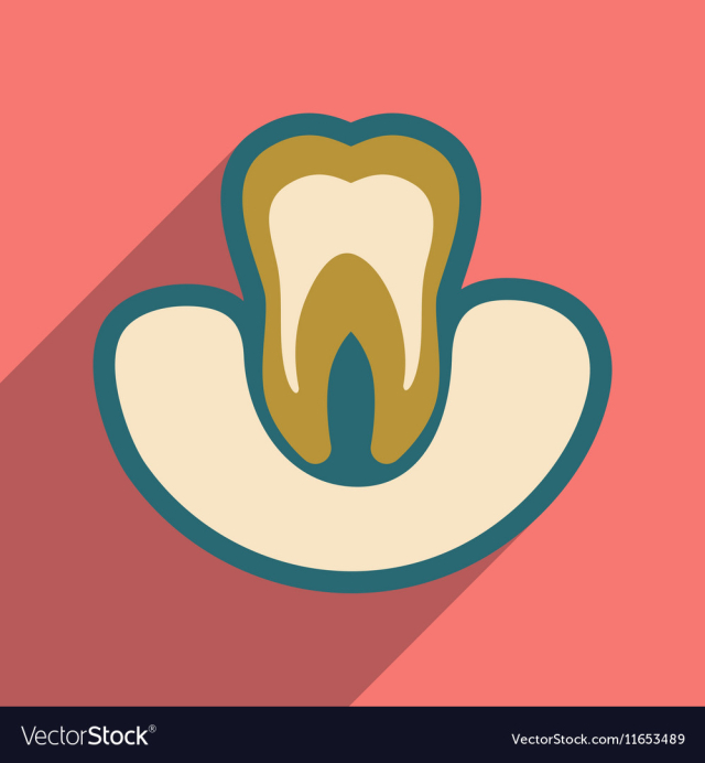 Free: Icon of tooth gums in flat style vector image - nohat.cc