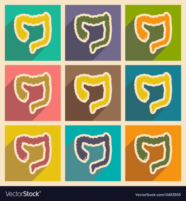 Free: Icons of assembly duodenum in flat style vector image - nohat.cc