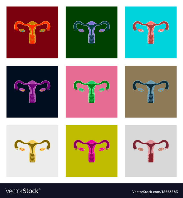 Free: Icons set in flat style female reproductive system vector image ...