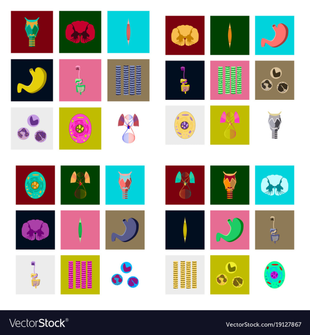 Free: Icons set in flat style human biology vector image - nohat.cc