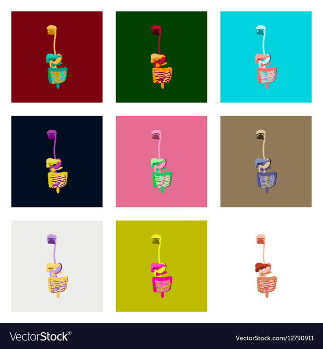 Free: Icons set in flat style human digestive system vector image ...