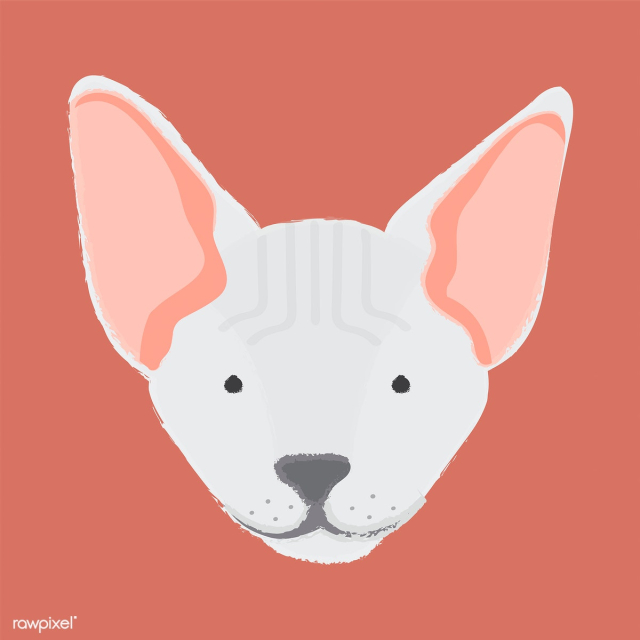 Free: Illustration of a cat's head | Free stock vector - 60396 - nohat.cc
