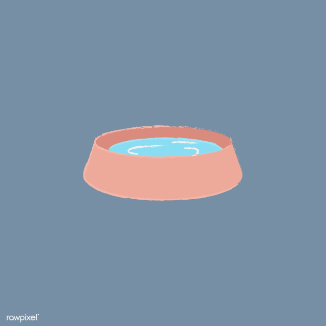 Free: Illustration of a pet's water bowl | Free stock vector - 60493 ...