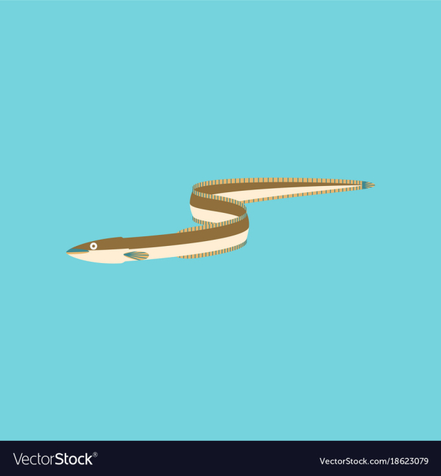 Free: In flat style eel vector image - nohat.cc