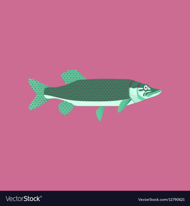 Free: In flat style pike vector image - nohat.cc