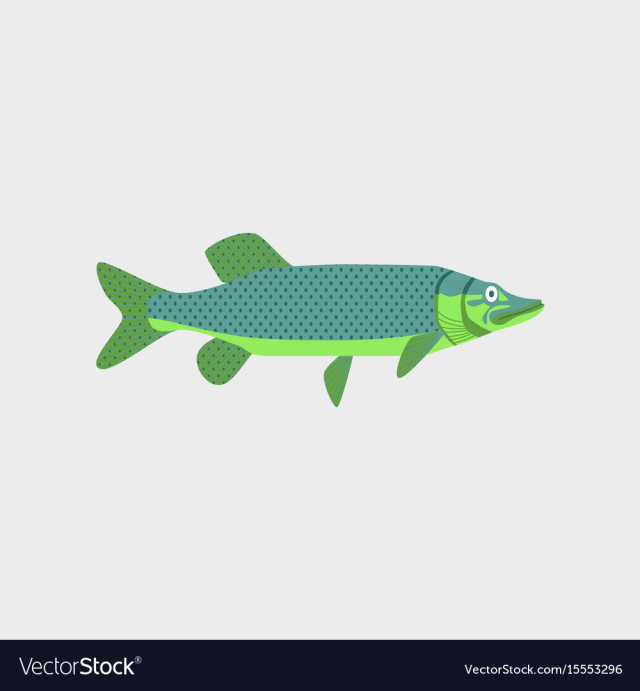 Free: In flat style pike vector image - nohat.cc