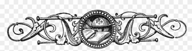 Free: In The Late Fall Or Early Winter Of Every Year, The - Black And ...