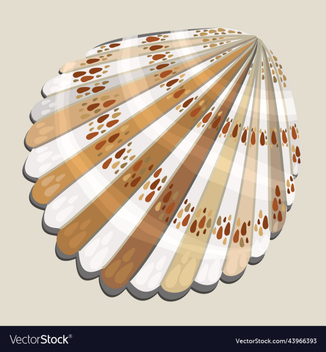 Free: isolated of seashell of usual shape - nohat.cc