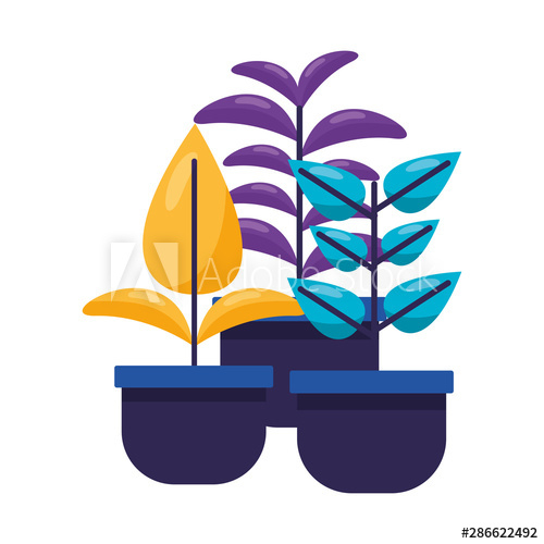 Free: Isolated plants with leaves design - nohat.cc