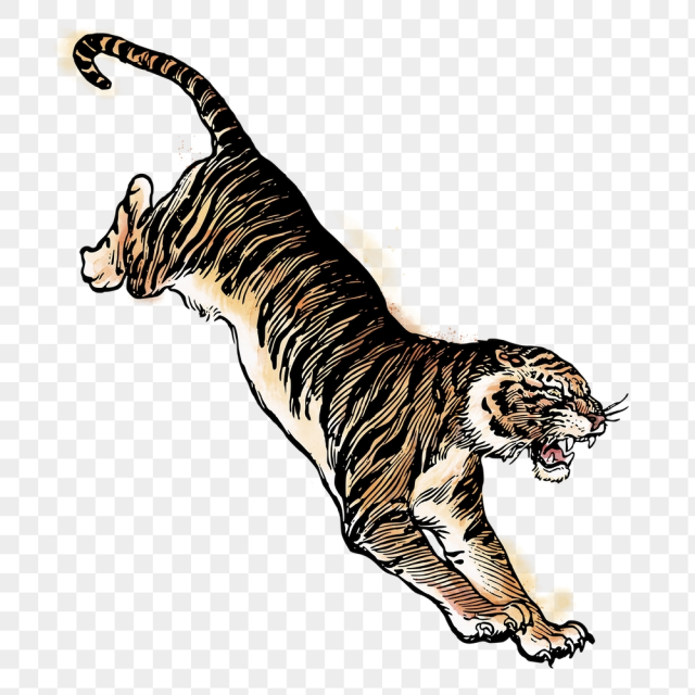 Free: Jumping tiger png sticker, animal | Free PNG Illustration ...
