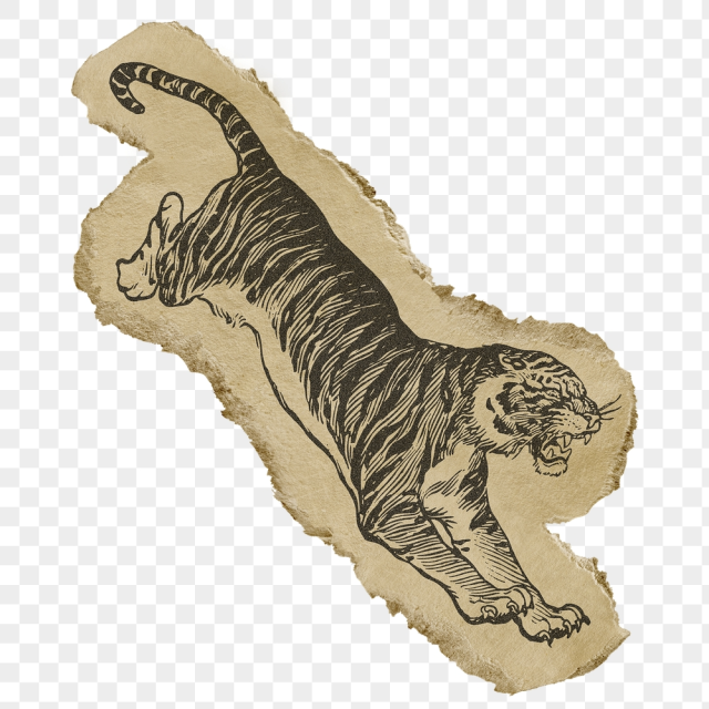 Free: Jumping tiger png sticker, ripped | Free PNG Illustration ...