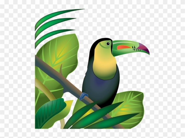 Free: Jungle Clip Art - Amazon Clipart - nohat.cc