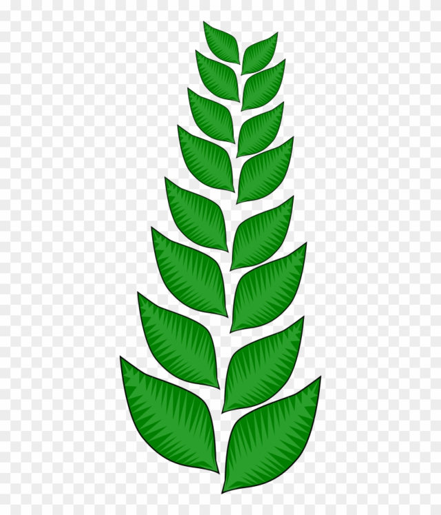 Free: Jungle Vines Clipart - Vine Tree Cartoon - nohat.cc