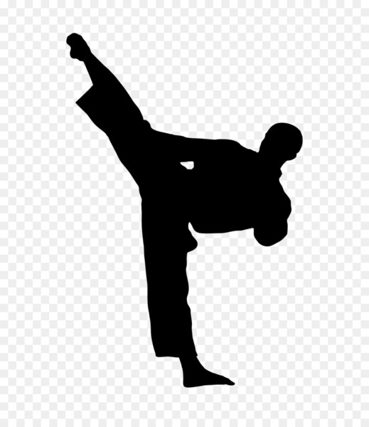 Flying Karate Kick Silhouette