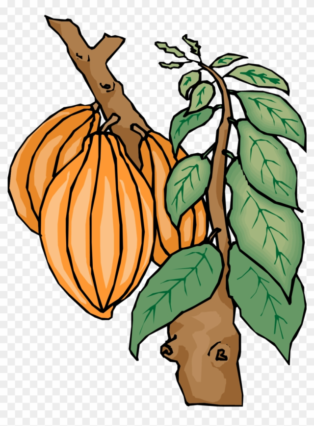 Free: Kinder Chocolate Theobroma Cacao Cocoa Bean Cocoa Butter - Cocoa ...