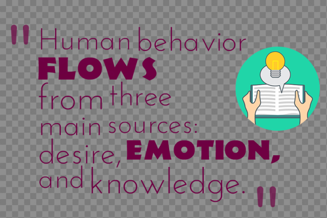 Free: Knowledge Quotes PNG Transparent Image - nohat.cc