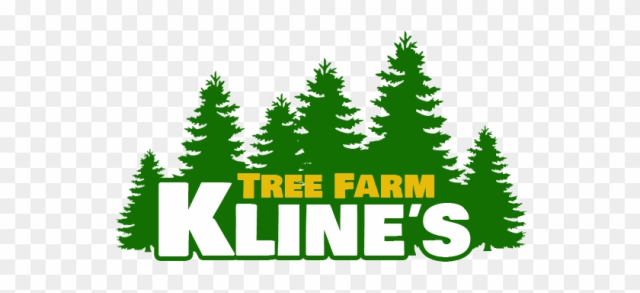 Free: Ktf Web Logo Ktf Web Logo Ktf Web Logo - Evergreen Tree Clipart ...