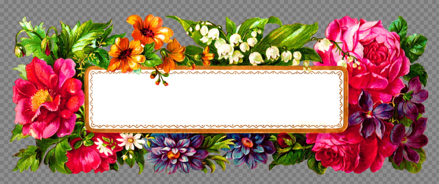 Free: Label Design PNG Picture - nohat.cc