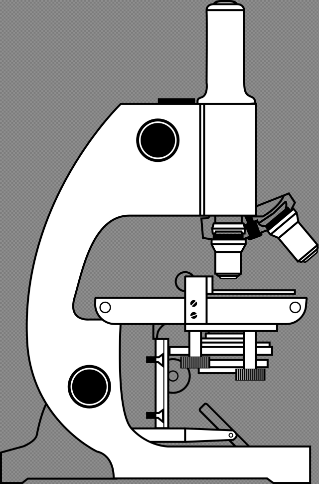 Free: Labeling A Compound Light Microscope - Clip Art Library - nohat.cc