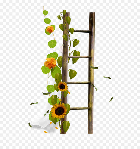 Free: Ladder Stairs Sticker Clip art - Drawing Flower Flower Border ...