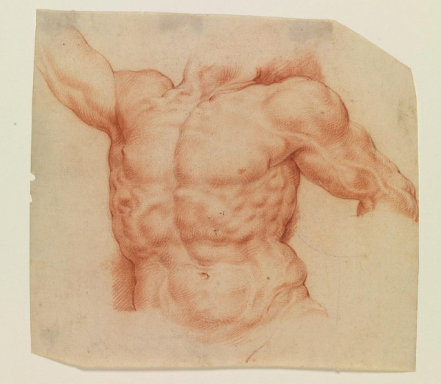 Free: Laocoon.Laocoon's upper body seen from the front | Free Photo ...