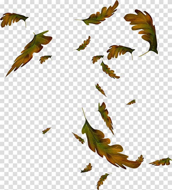 Free: Leaf Animation Drawing Autumn , Leaf transparent background PNG ...