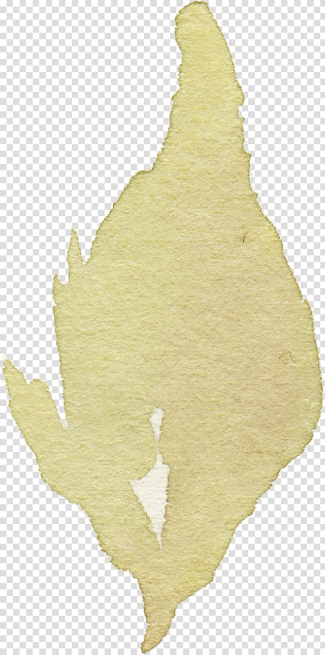 Free: Leaf Chemical element Transparency and translucency, Leaves ...