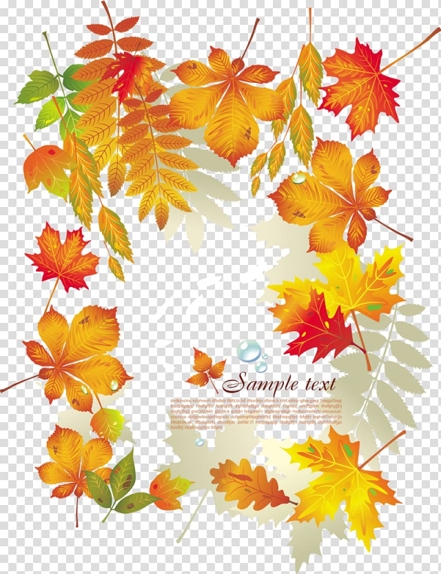Free: Leaf Euclidean Computer file, fall transparent background PNG ...