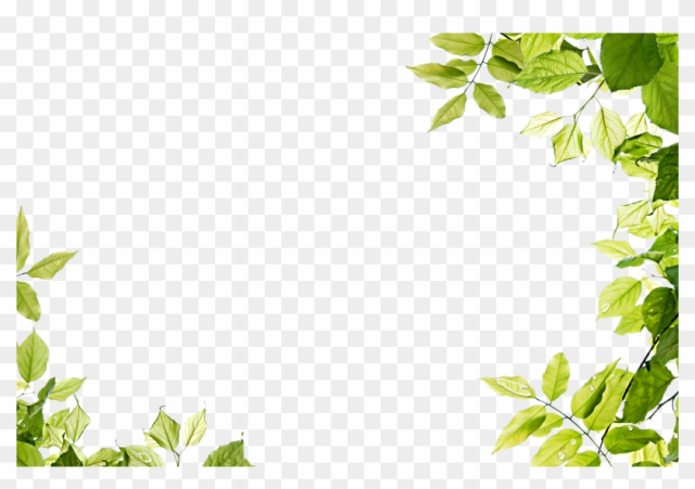 Free: Leaf Frame Transparent Png - Leaf Frame - nohat.cc
