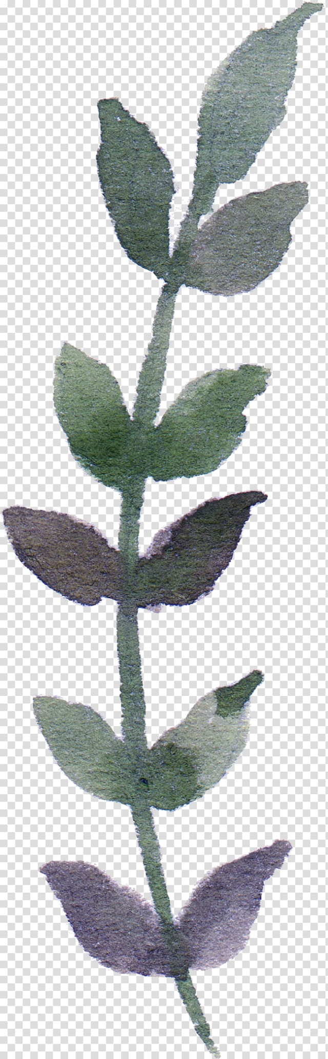 Free: Leaf Green Transparency and translucency, Leaves falling leaves ...