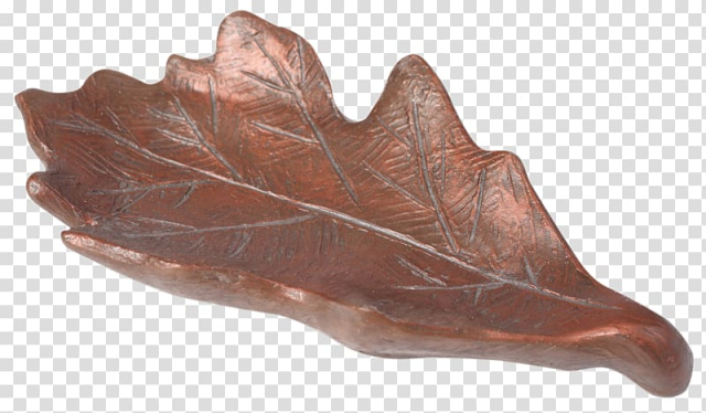 Free: Leaf Northern Red Oak White oak Quercus stellata Quercus bicolor ...