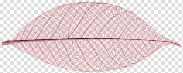 Free: Leaf, Pink leaves transparent background PNG clipart - nohat.cc