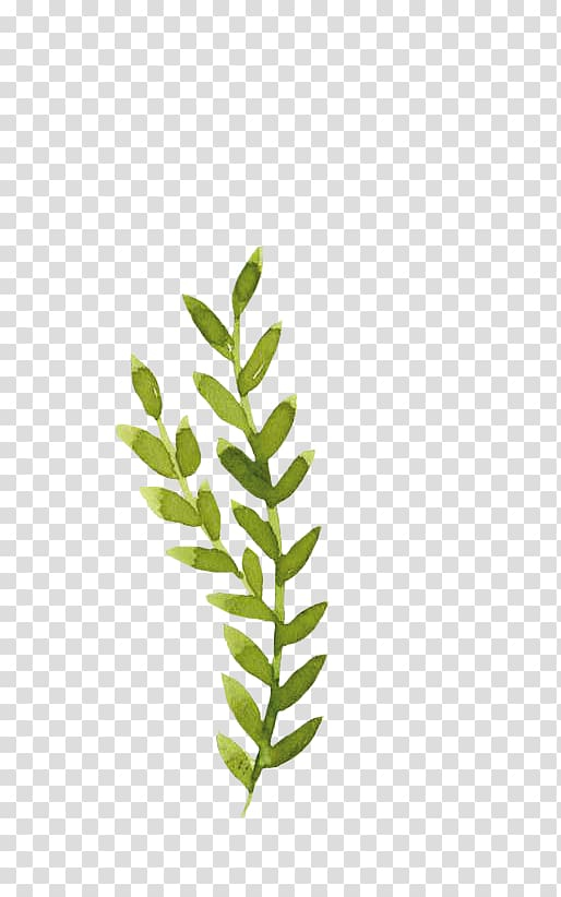 Free: Leaf Watercolor painting Drawing, Leaf transparent background PNG ...
