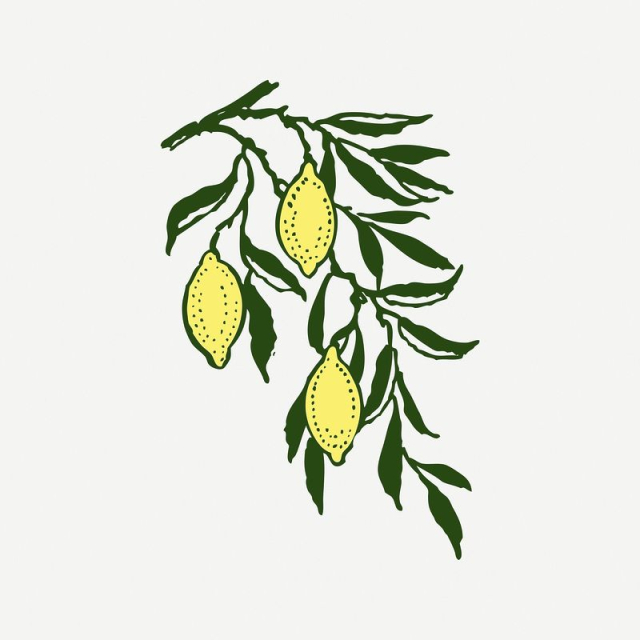 Free: Lemon collage element, drawing illustration | Free PSD Illustration - rawpixel - nohat.cc
