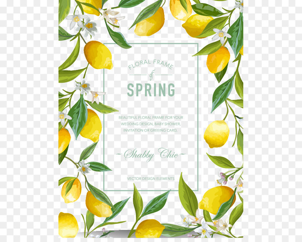 Free: Lemon - Fresh lemon border - nohat.cc