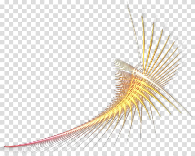 Free: Light Fractal XaoS, Floating line transparent background PNG ...