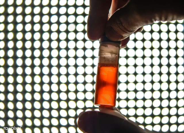 Free: Light Microscopy Microscope Experiment. The p.. | Free public ...