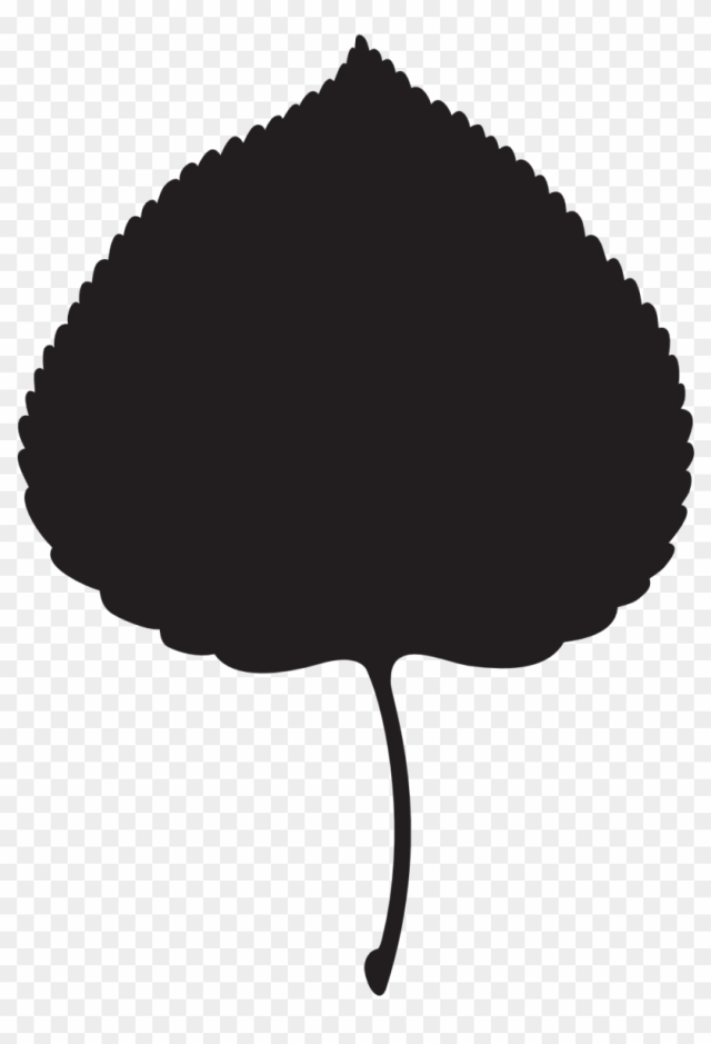 Free: Logo Files For Download - Aspen Leaf Png - nohat.cc