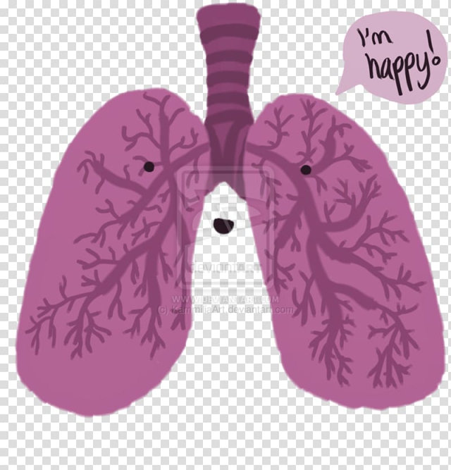 Free: Lung Happiness Heart Breathing, creative lungs transparent ...