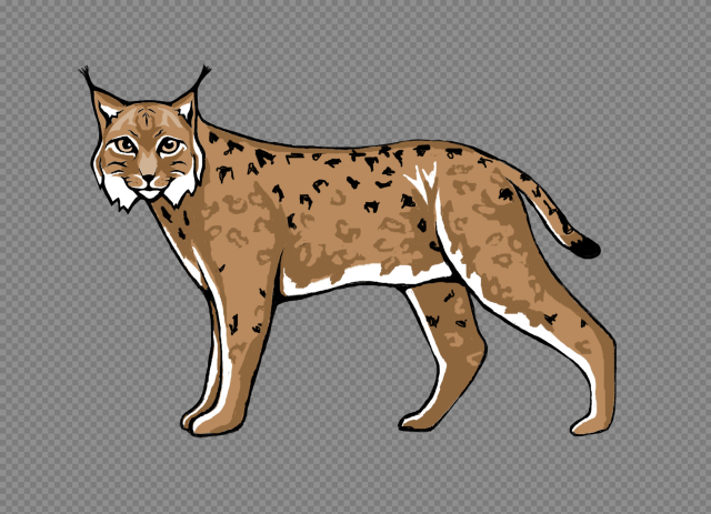 Free: Lynx Transparent Images - nohat.cc