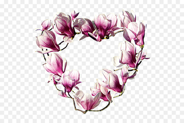 Free: Magnolia Badge Garden club Flower Zazzle - magnolia - nohat.cc