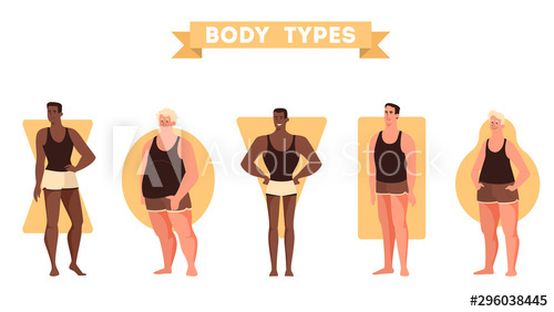 Free: Male body shapes set - nohat.cc