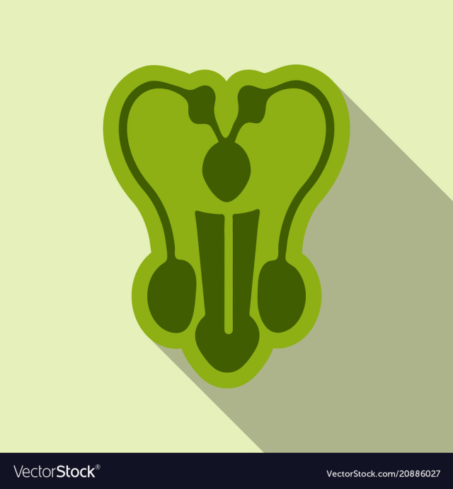Free: Male reproductive system icon in cartoon style vector image ...