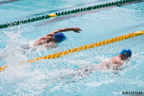 Free: Male swimmers competing in sunny swimming pool - nohat.cc