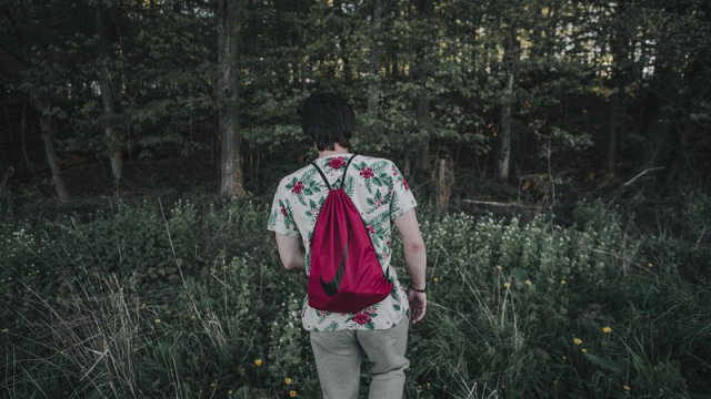Free: Man walking into a forest, | Free Photo - rawpixel - nohat.cc