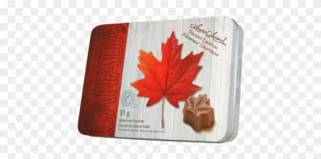 Free: Maple Cream Chocolates - Canadian Maple Leaf Chocolates - nohat.cc