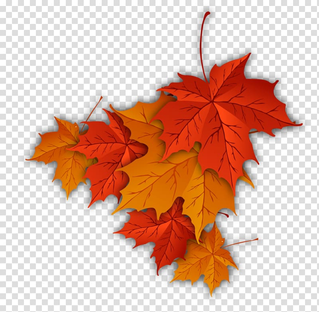 Free: Maple leaf illustration, Autumn leaf color Autumn leaf color ... Free: Maple leaf illustration, Autumn leaf color Autumn leaf color ...